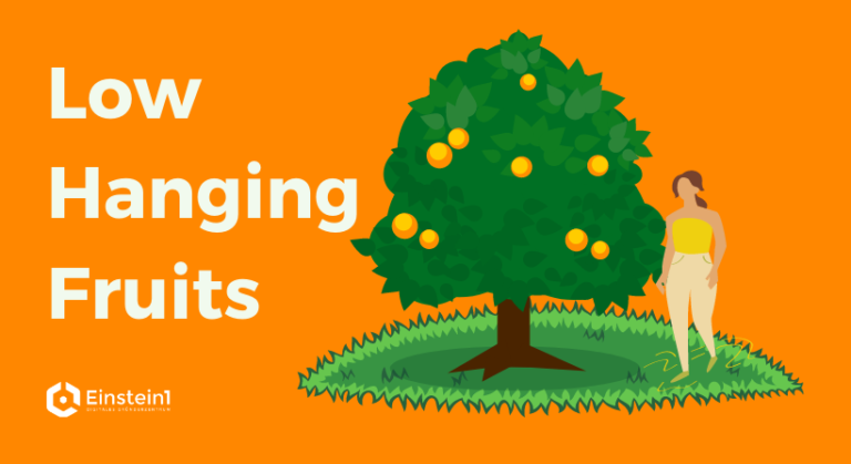 Low Hanging Fruits: kleine Tasks - große Wirkung | Einstein1